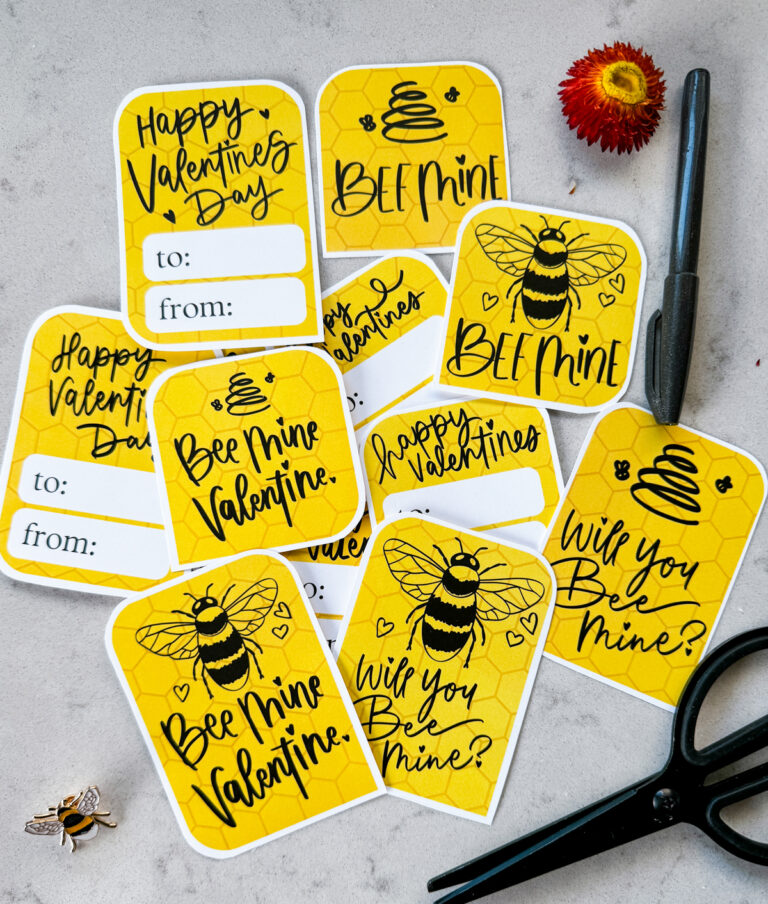 Will You Bee My Valentine? Free Printable Cards - Hand Lettered Printables